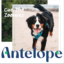 Antelope Pets $5 Coupon Code and $5 Referral Rewards